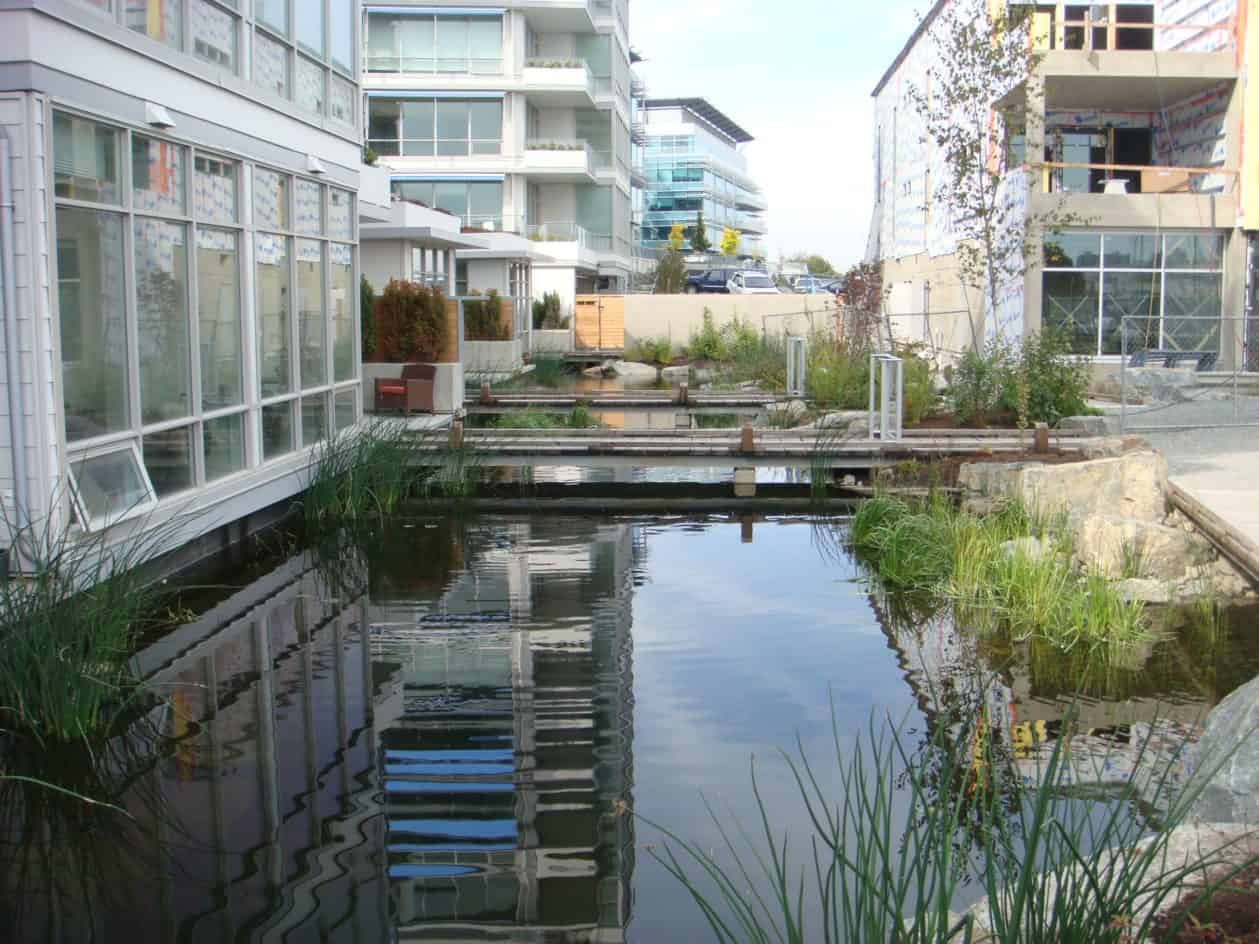 Dockside Green Awarded World's Highest LEED Score - MetaEfficient