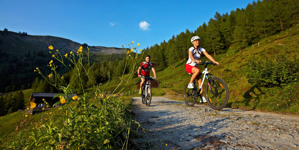 Top Car-Free Bike Routes In The Midwest - MetaEfficient