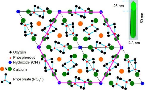 Bone Char: A Very Effective Filter - MetaEfficient
