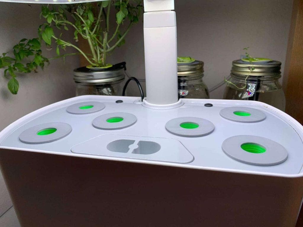 Growing Green Onions In An Aerogarden - MetaEfficient